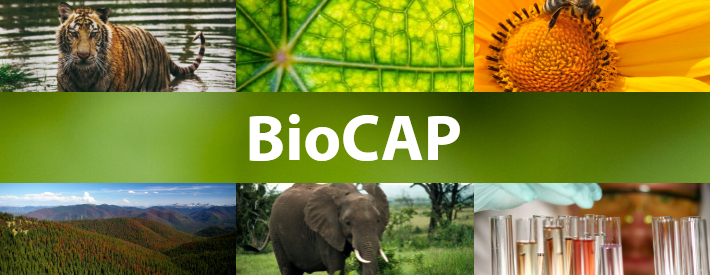 Capacity-Building and Development