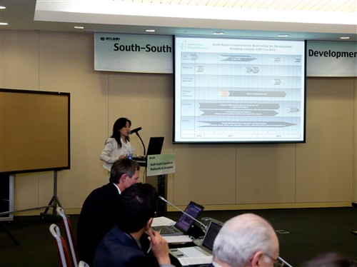 SCBD Museum of Nature and Culture