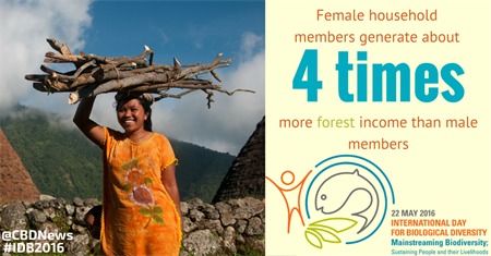 Promotional Materials