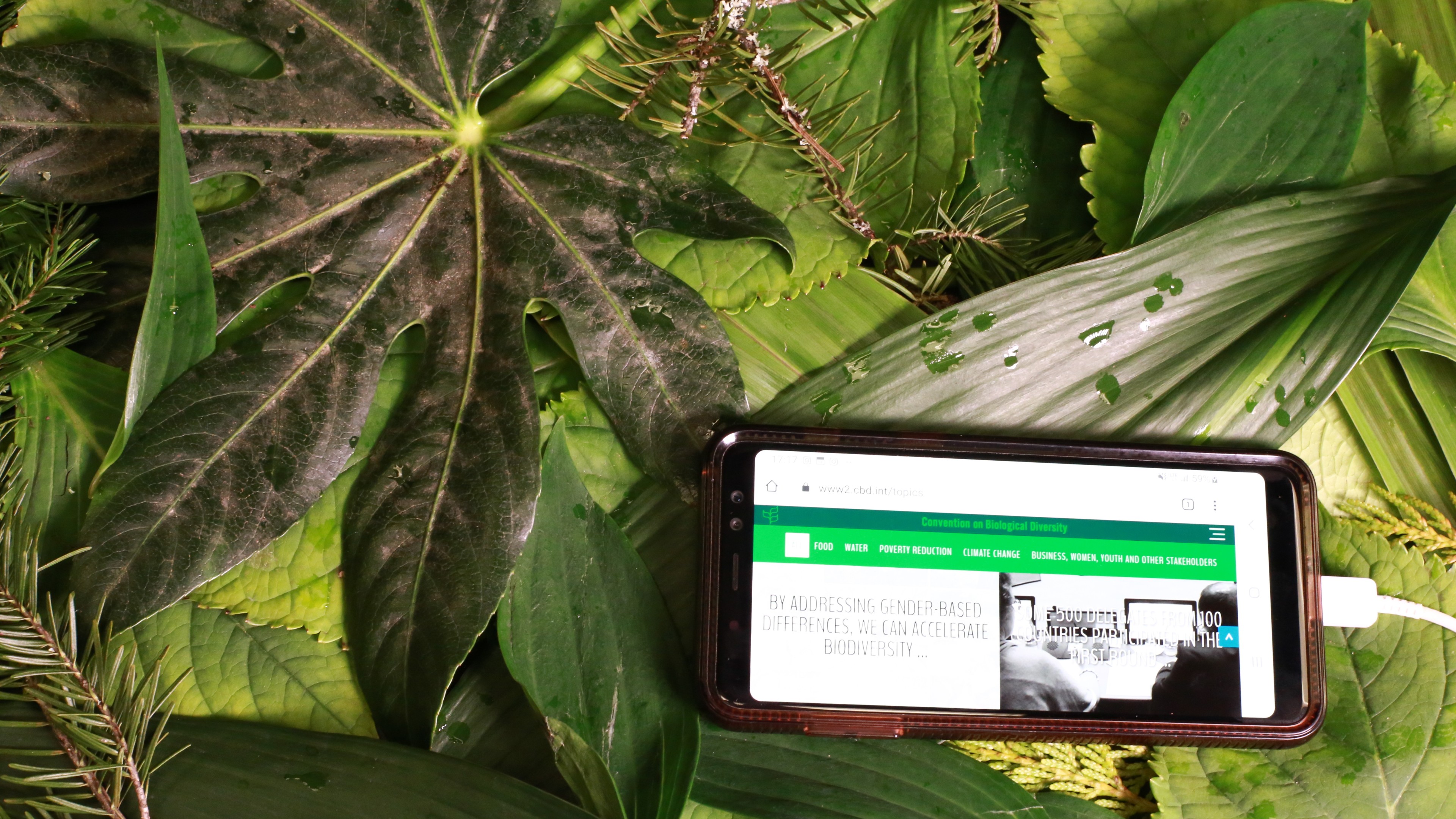 The CBD Website Improvement Survey | Convention on Biological Diversity