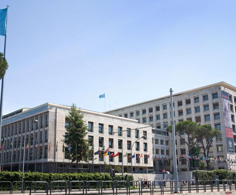 Home | Convention on Biological Diversity