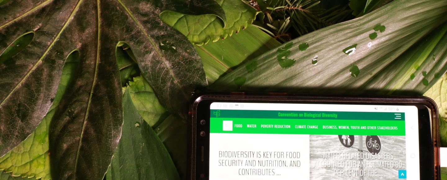 Home | Convention on Biological Diversity